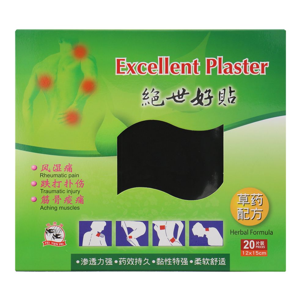 Fei Yien Pai Excellent Plaster (20pcs)